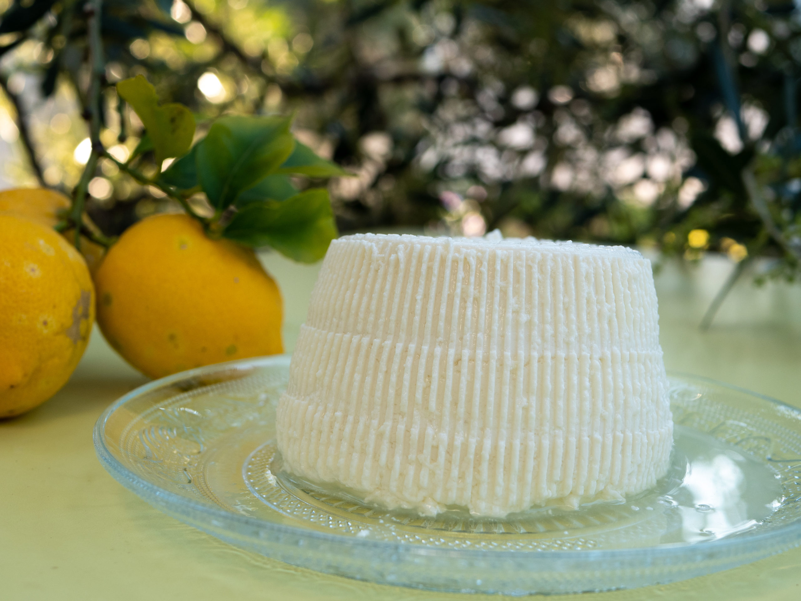 Voyage gourmand en Corse : le Brocciu - From Corsica With Trips