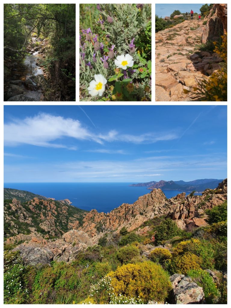 Découvrir les Calanche de Piana à pied, en voiture ou en bateau!